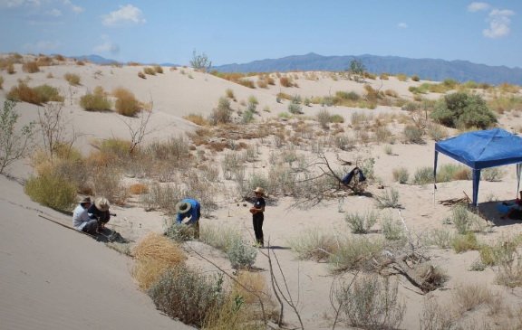 INAH confirma hallazgo de osamenta prehispánica en Viesca